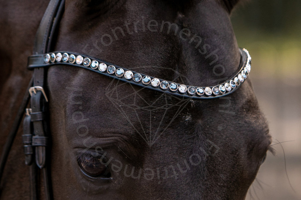 Classic XL Browband Silver Shade – Monere Equestrian